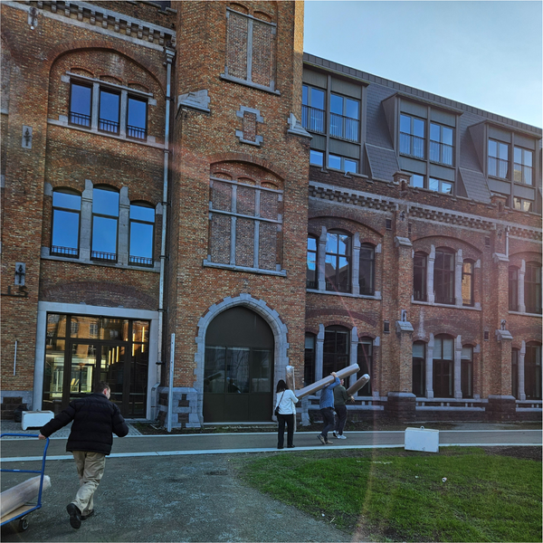 La Province de Flandre Orientale a opté pour des tapis circulaires dan ...